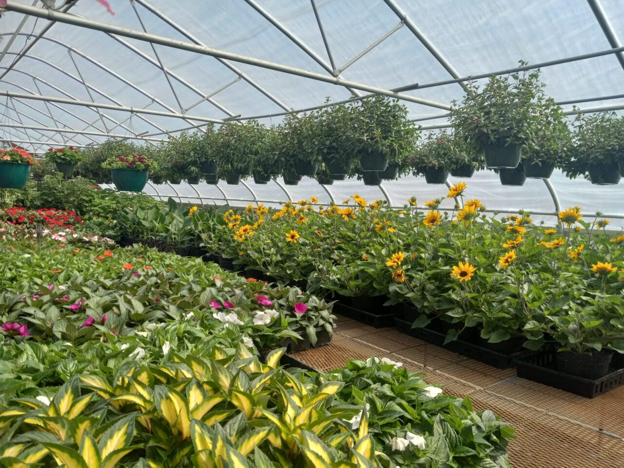 Next Level Quality Landscape